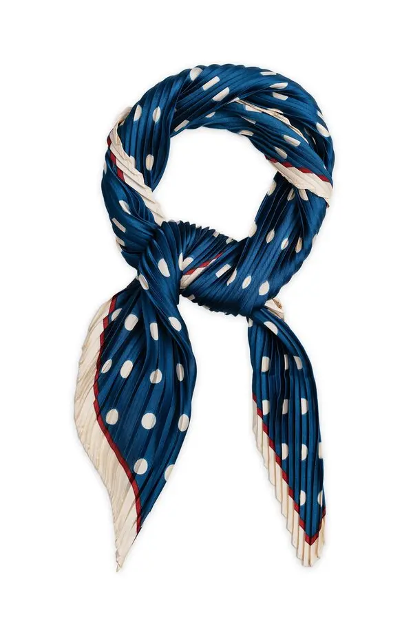WILD COSMOS Carter Plissé Petit Scarf