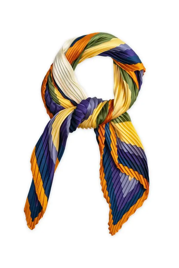 WILD COSMOS Clara Plissé Petit Scarf