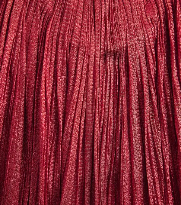 MARIA LUCIA HOHAN Silk Gown - Red