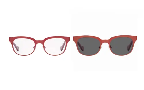 RENEE'S READERS Photochromic Anti-glare Reading Glasses - Chestnut Brown