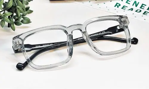 RENEE'S READERS Anna Computer Blue Light Reading Glasses