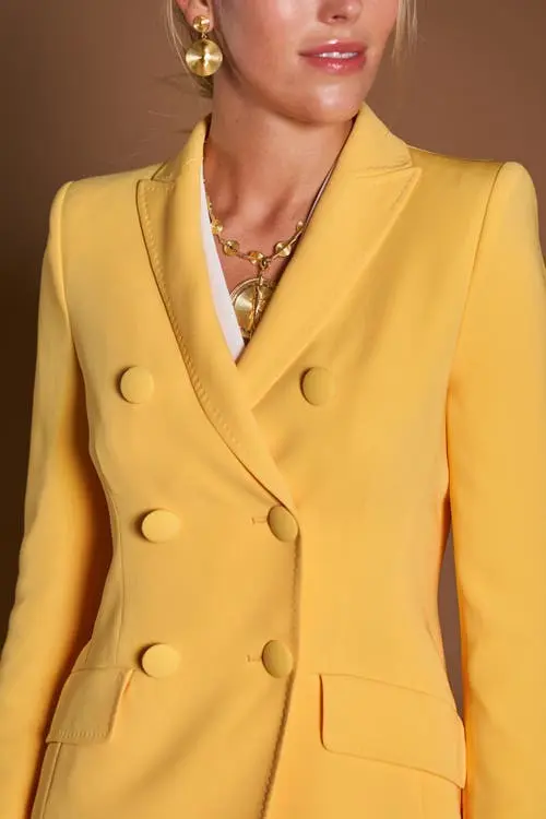 MAISON COMMON Double Breasted Travel Safe Blazer
