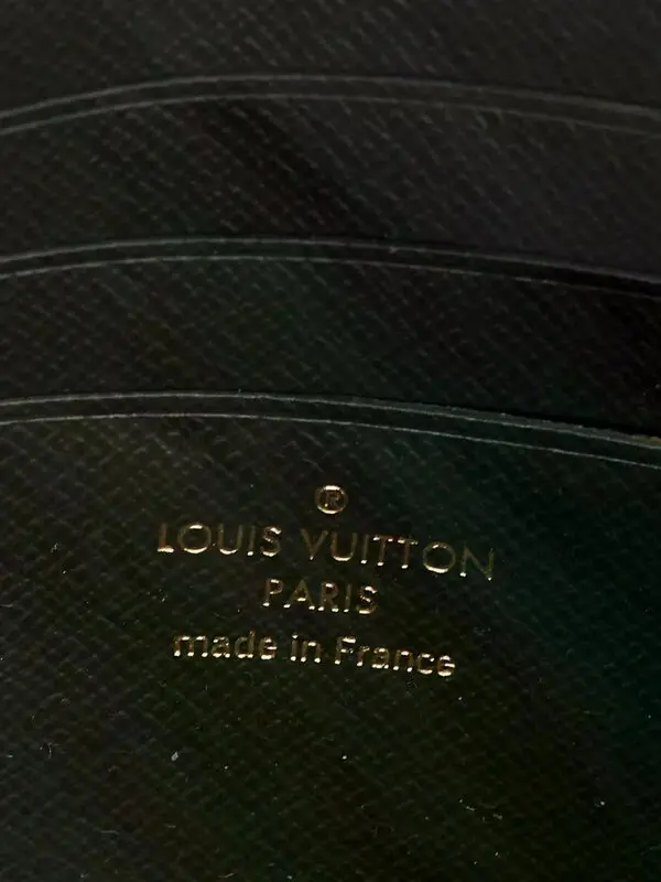 LOUIS VUITTON Félicie Strap & Go Bag
