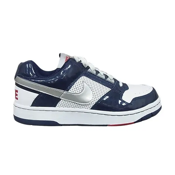 Nike Delta Force Low Si Sneakers