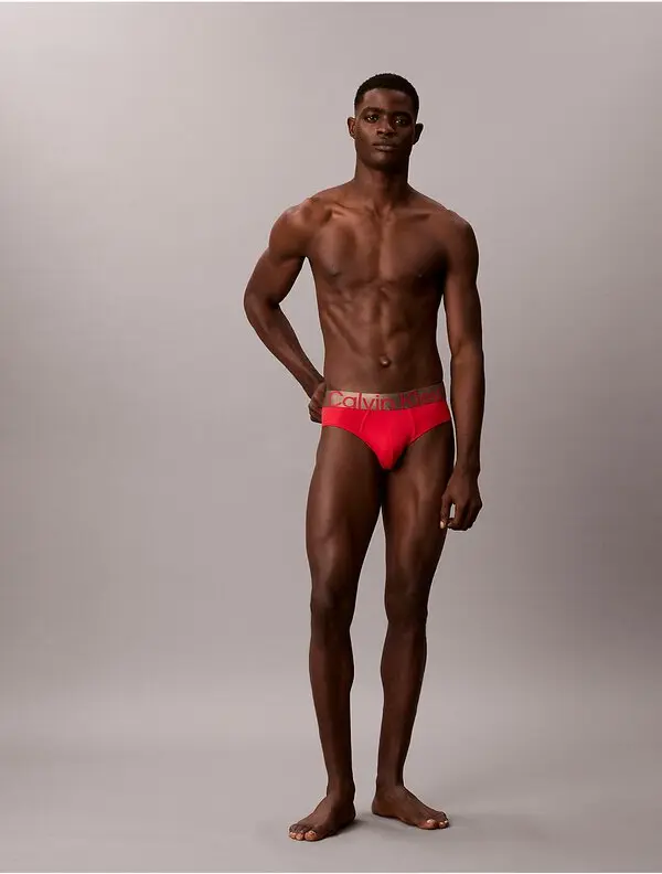 Calvin Klein Brushed Microfiber Stretch Hip Brief - Goji Berry