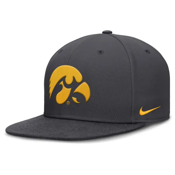 Nike Iowa Pro Dri-fit College Fitted Hat