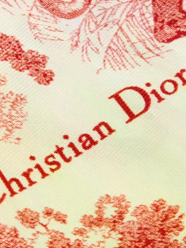 Dior Toile De Jouy Mitzah Silk Scarf - Neutrals