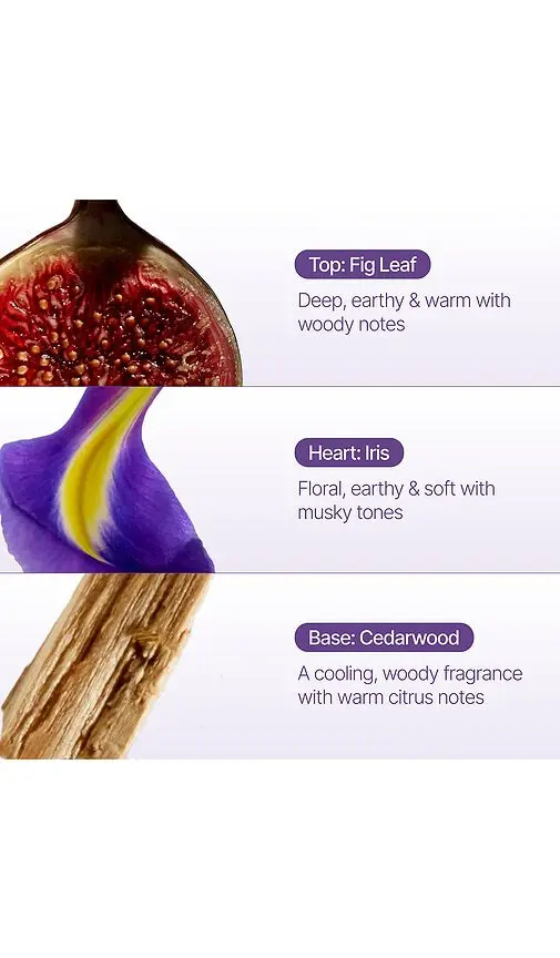 DROPLET Dream Reed Diffuser In Fig Leaf In Purple