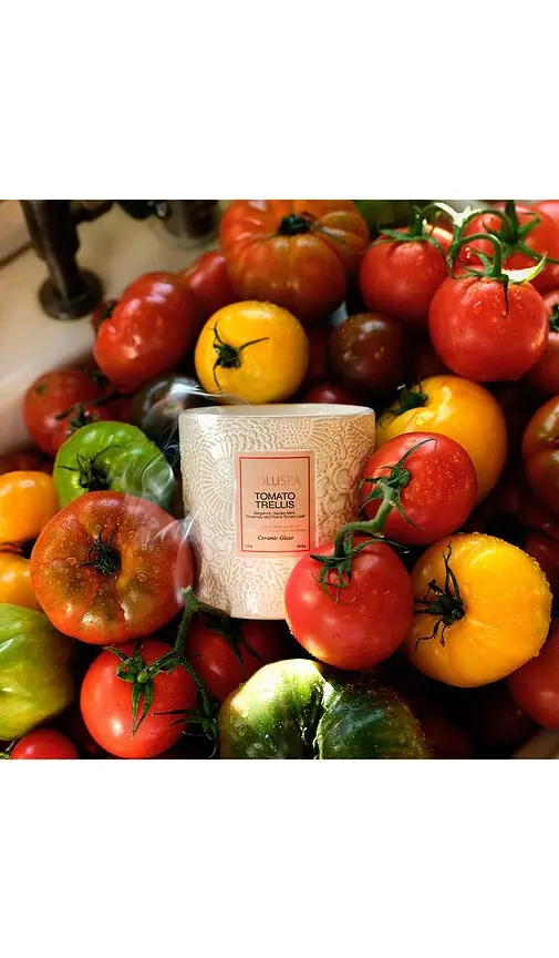 Voluspa Tomato Trellis Luxe Classic Candle In White
