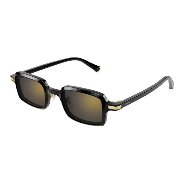 Cartier Rectangle Sunglasses