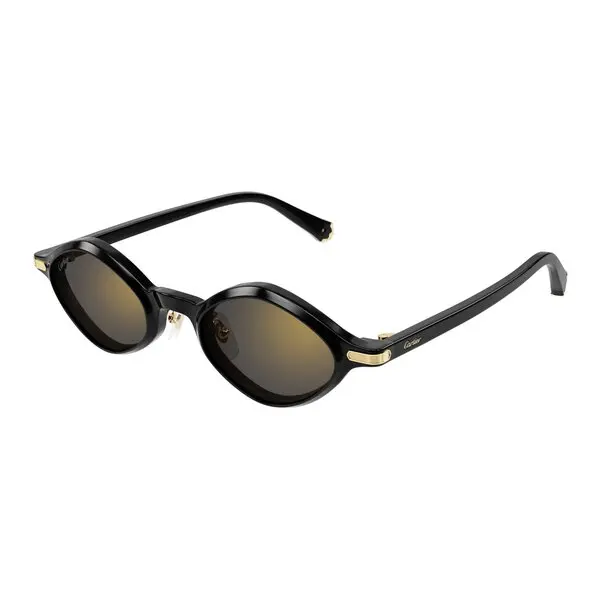 Cartier Polygonal Sunglasses