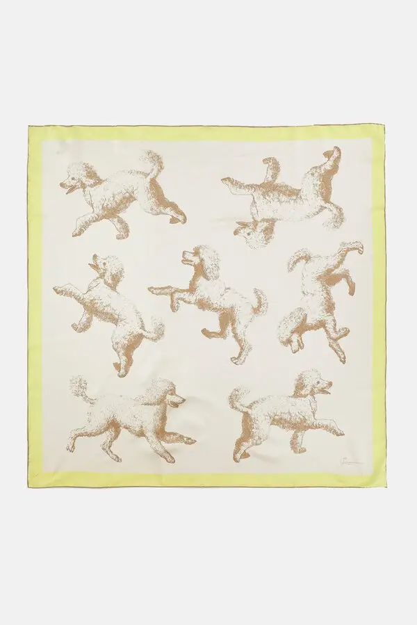Jacquemus Grand Caniche Scarf In Silk