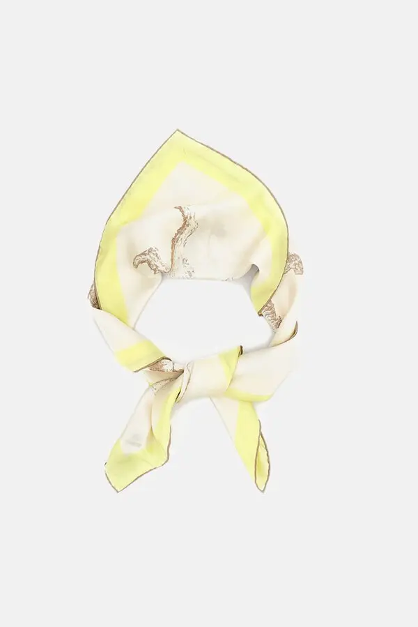 Jacquemus Grand Caniche Scarf In Silk