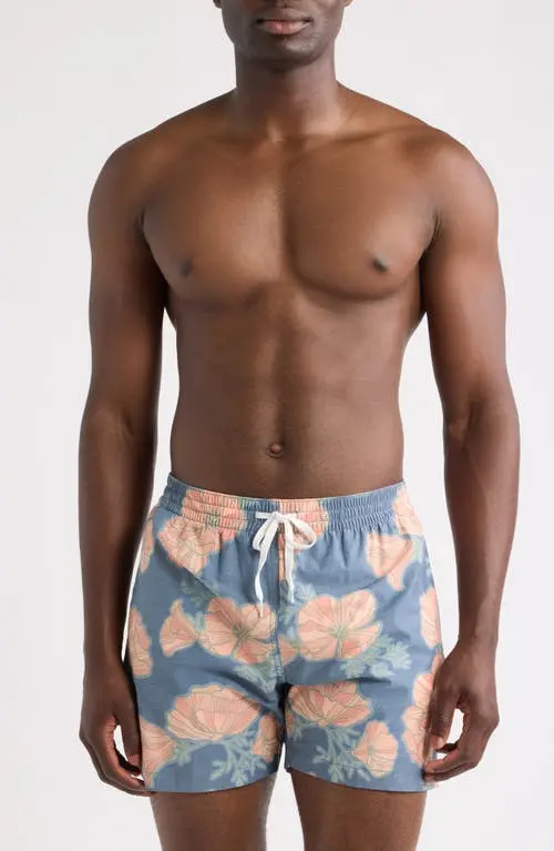 CHUBBIES The Great Grand Poppy 5.5-inch Swim Trunks - Navy