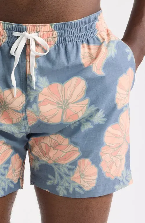 CHUBBIES The Great Grand Poppy 5.5-inch Swim Trunks - Navy
