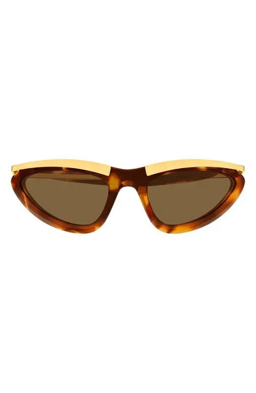 Bottega Veneta Cat Eye Sunglasses - Havana