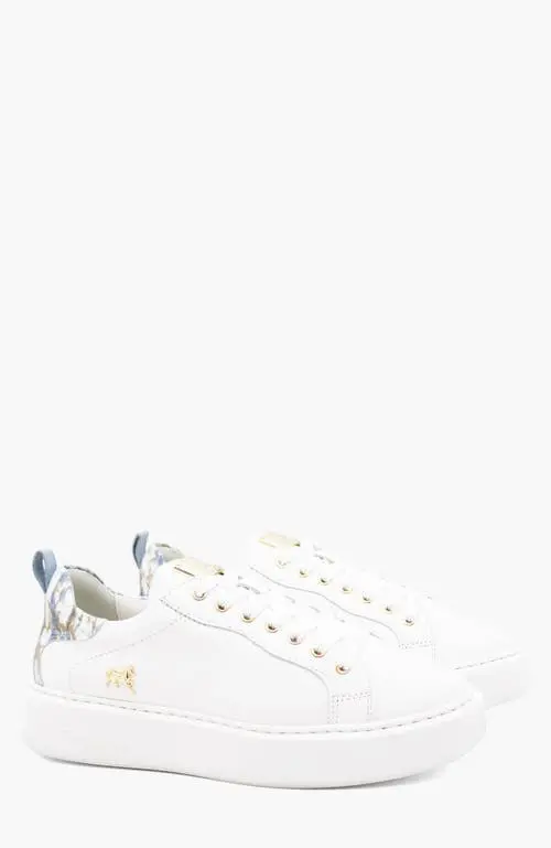 CAVALINHO Acqua Bella Leather Lace-up Platform Sneakers