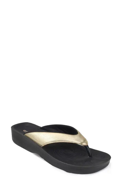 AEROTHOTIC Meira Croc-embossed Platform Flip-flop - Gold