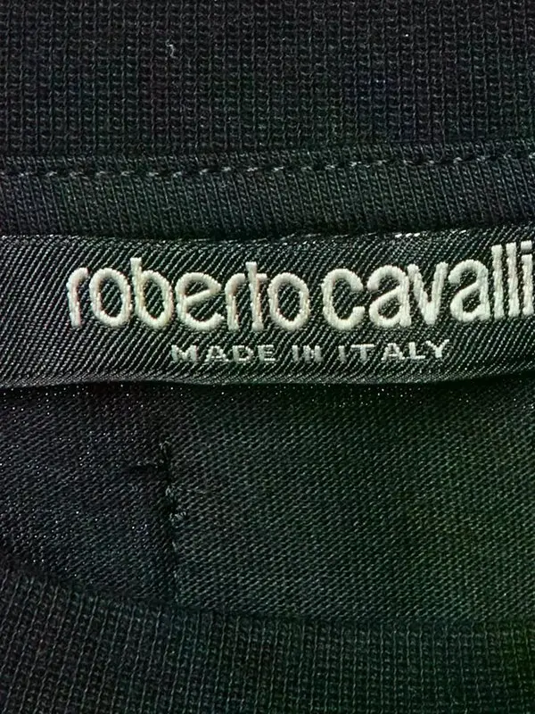 Roberto Cavalli Logo-embroidered T-shirt