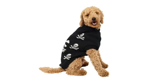 PALACE Pirate Dog Jumper