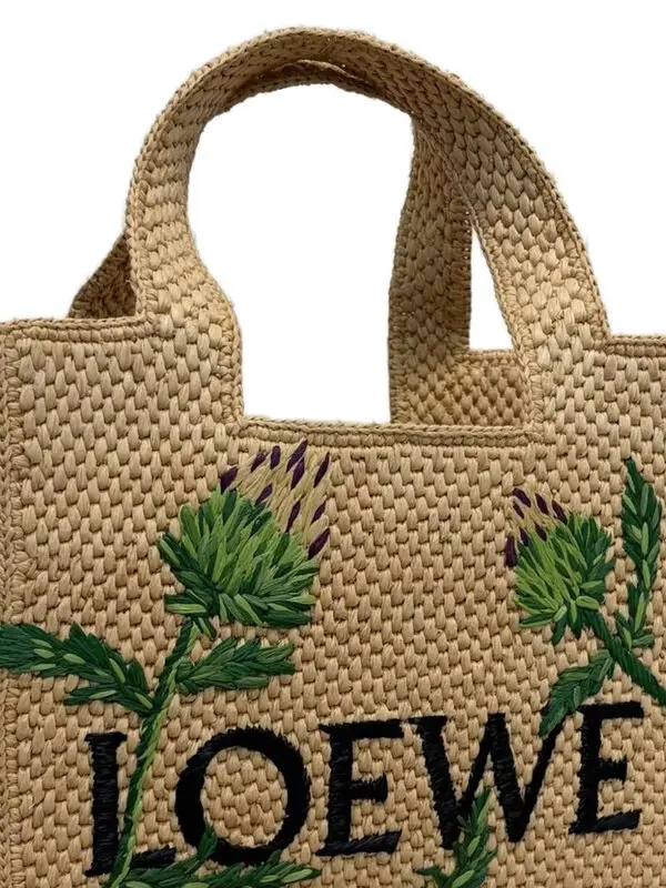 Loewe Small Raffia Tote Bag - Multicolor