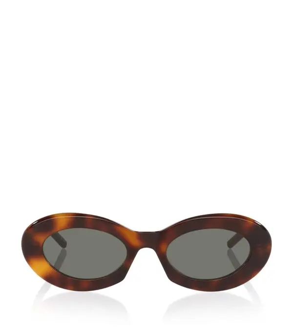 Saint Laurent Sl 594 Oval Sunglasses - Brown