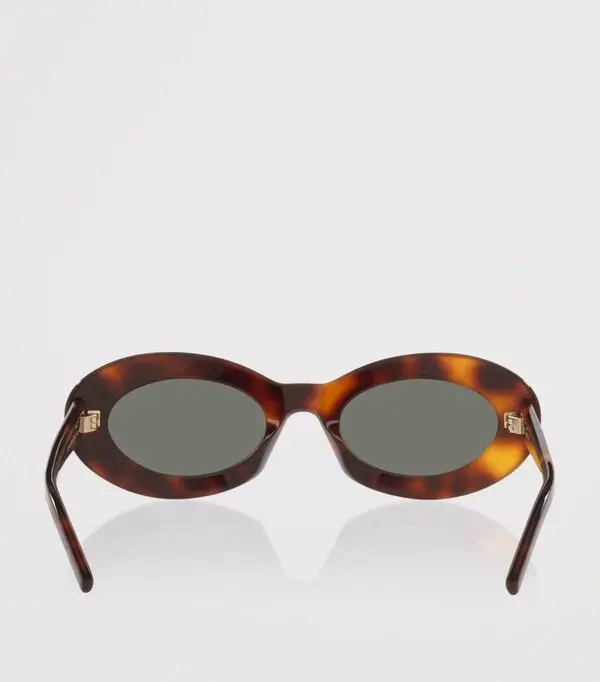 Saint Laurent Sl 594 Oval Sunglasses - Brown