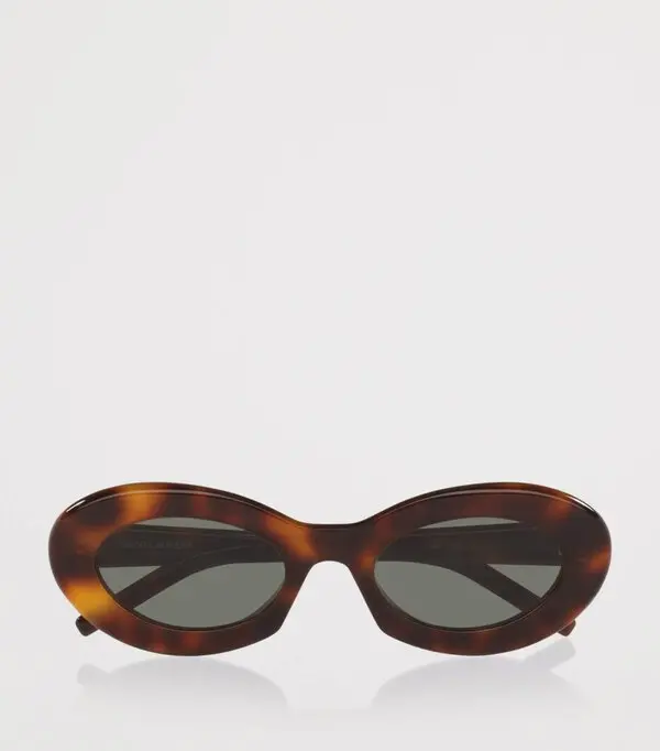 Saint Laurent Sl 594 Oval Sunglasses - Brown