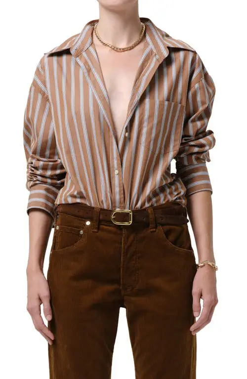 Citizens Of Humanity Thea Striped Boyfriend Shirt