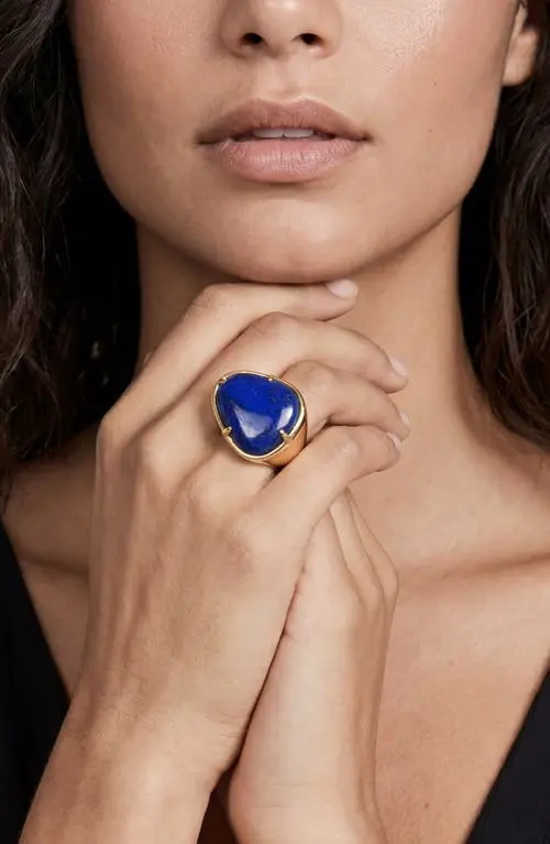 Ettika Solstice 18k Gold Plated Lazuli Statement Ring