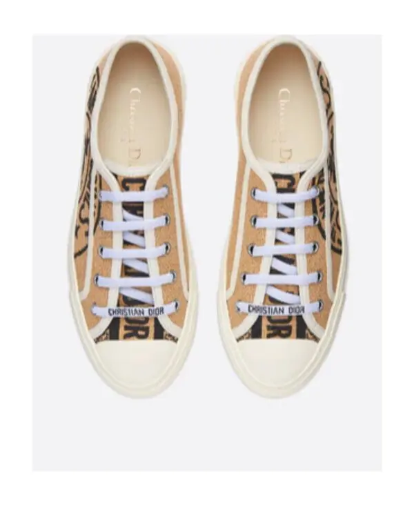 Dior Walk 'n' Lace-up Casual Sneakers