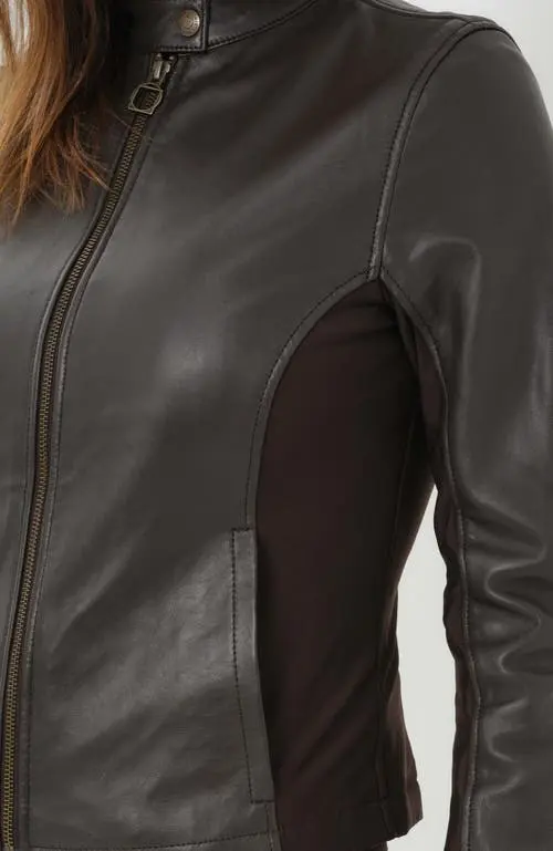 Anatomie Kensington Mixed Media Moto Leather Jacket