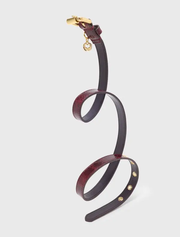 Maje Slim Leather Belt With Eyelets