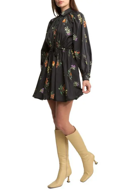 EN SAISON Kristie Long Sleeve Printed Cotton Shirtdress