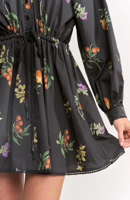 EN SAISON Kristie Long Sleeve Printed Cotton Shirtdress