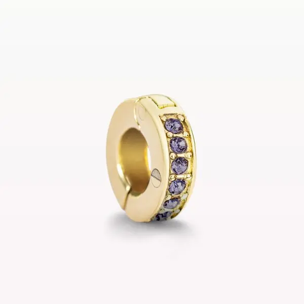 La Lune February Amethyst Birthstone Clip-on Galaxy Charm