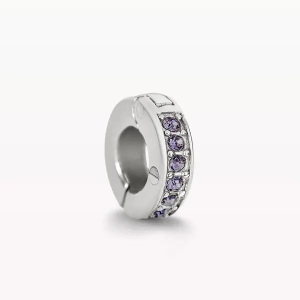 La Lune February Amethyst Birthstone Clip-on Galaxy Charm