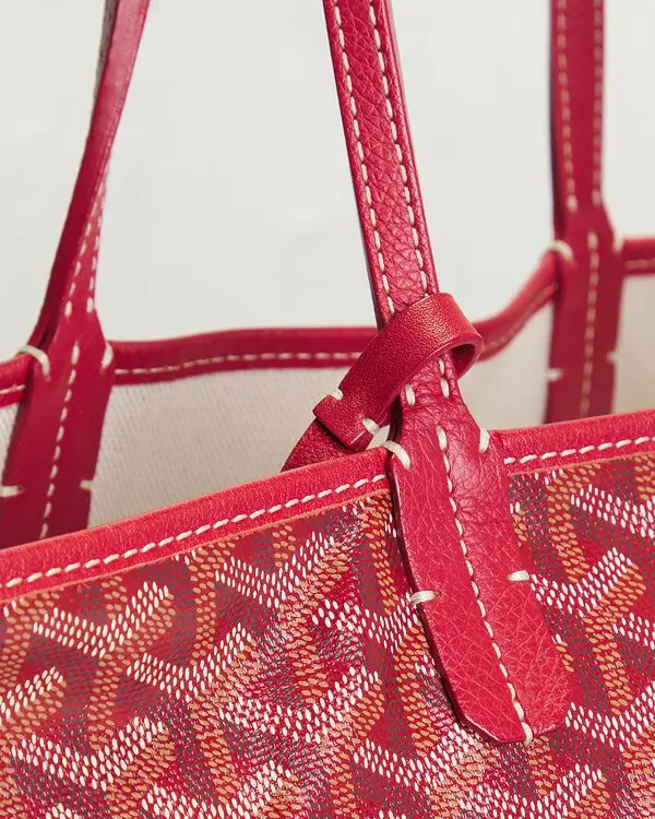 FWRD RENEW Goyard 包袋
