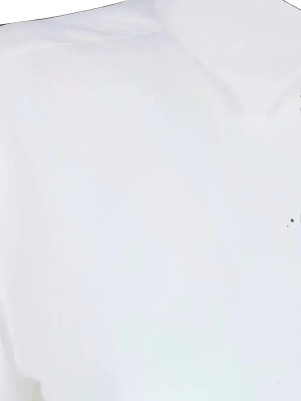 Antonelli Firenze Rear-buttoned Long-sleeve Blouse