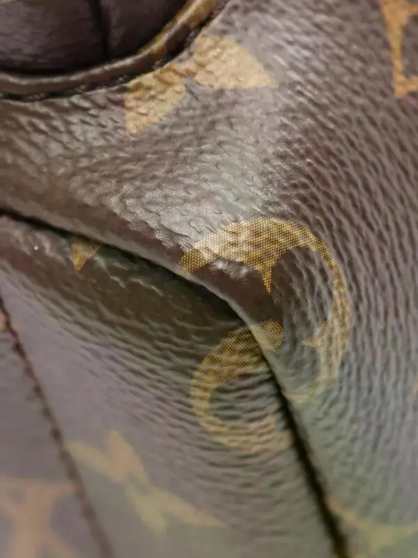 LOUIS VUITTON 2021-2026 Monogram Mini Palm Springs Backpack