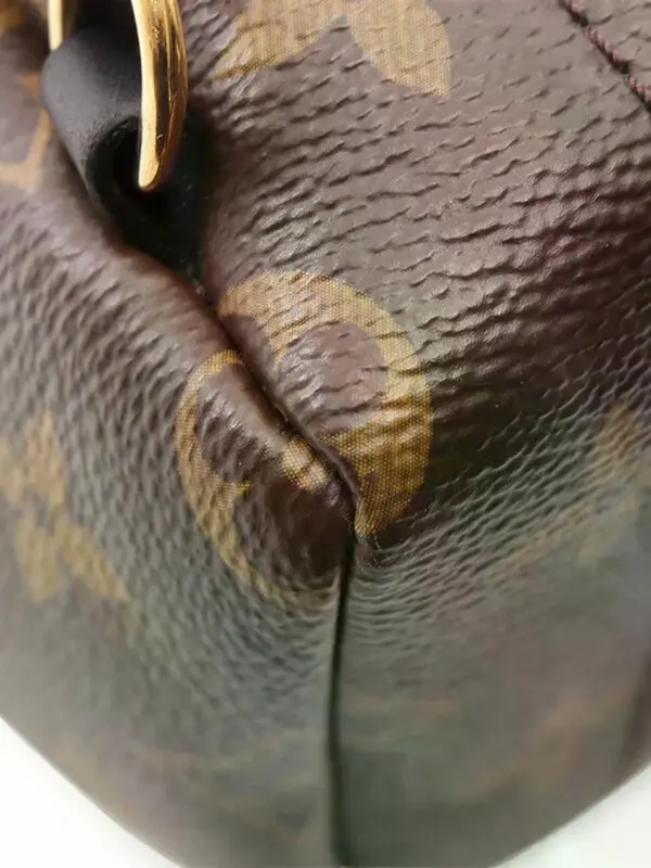 LOUIS VUITTON 2000-2026 Monogram Mini Palm Springs Backpack - Brown