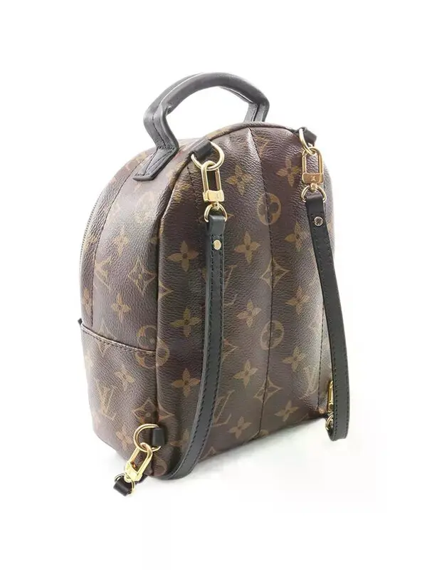 LOUIS VUITTON Monogram Mini Palm Springs Backpack