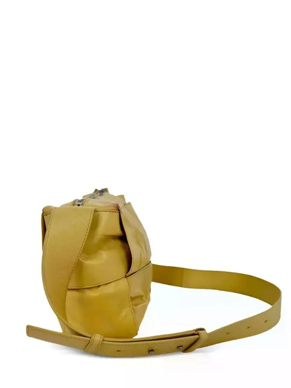 Bottega Veneta Arco Camera Bag