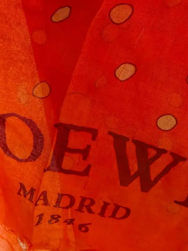Loewe Vibrant Print Scarf