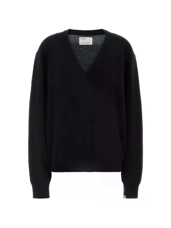 Extreme Cashmere N°492 Ben V-neck Sweater