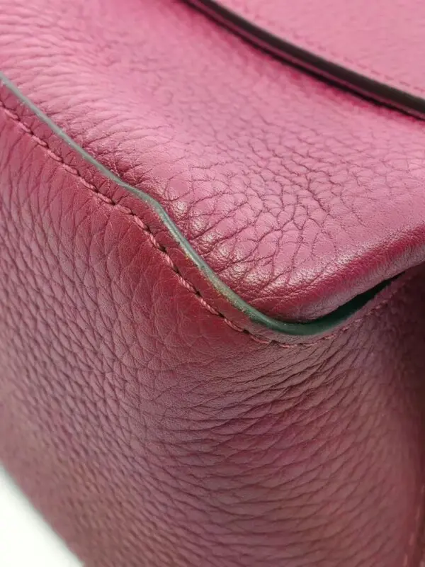 LOUIS VUITTON Volta Parnassea Handbag - Pink