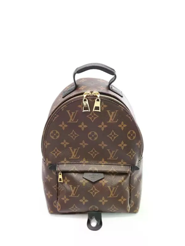 LOUIS VUITTON Monogram Palm Springs Backpack - Brown