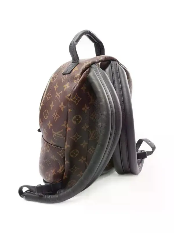 LOUIS VUITTON Monogram Palm Springs Backpack - Brown