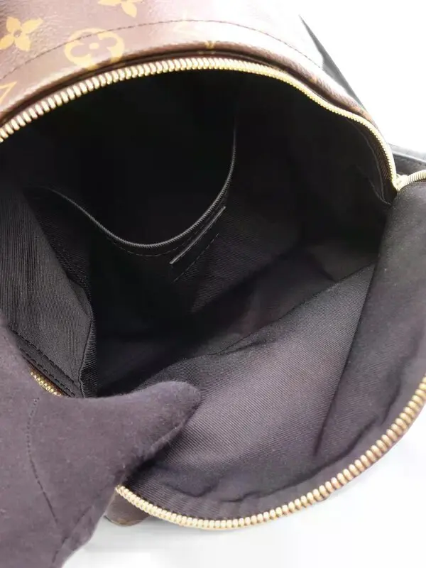 LOUIS VUITTON Monogram Palm Springs Backpack - Brown