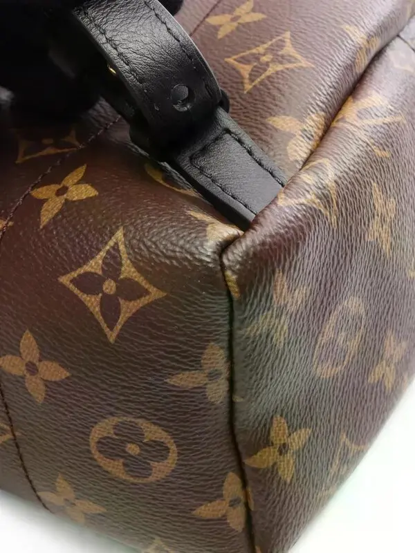 LOUIS VUITTON Monogram Palm Springs Backpack - Brown
